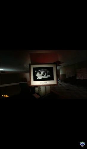 Based Doctor Meow | Vinepedia Wiki | Fandom