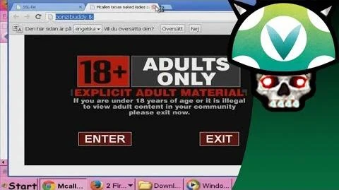 Windows Destruction | Vinesauce Wiki | Fandom