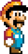 Spondage Mario | Vinesauce Wiki | Fandom