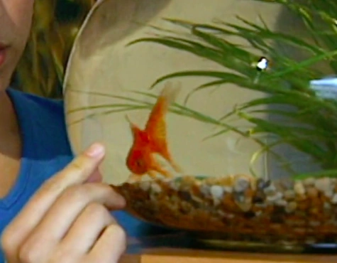 Zogin | Vintergatan Wiki | Fandom