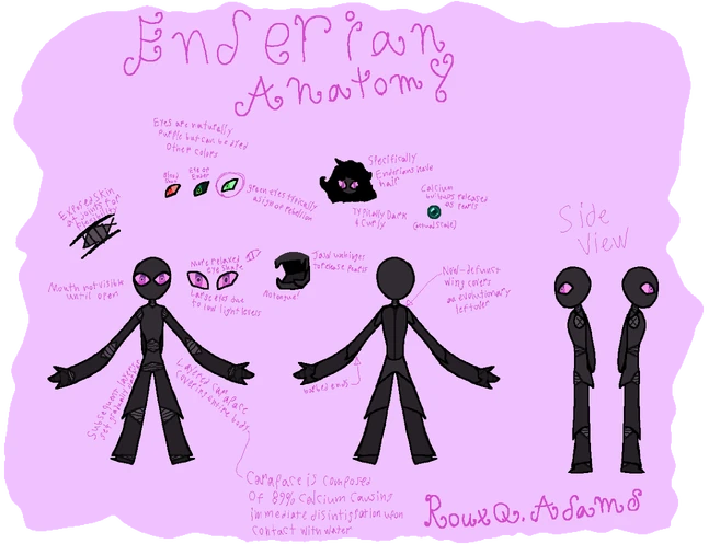 Enderians | Violet SMP Wiki | Fandom