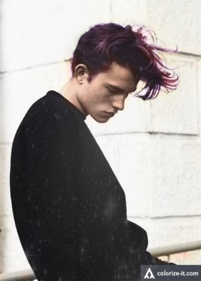 Phoenix | Violet Eden Chapters Wiki | Fandom