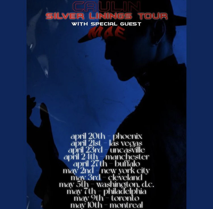 Silver Linings Tour | Violetlight Records Wiki | Fandom