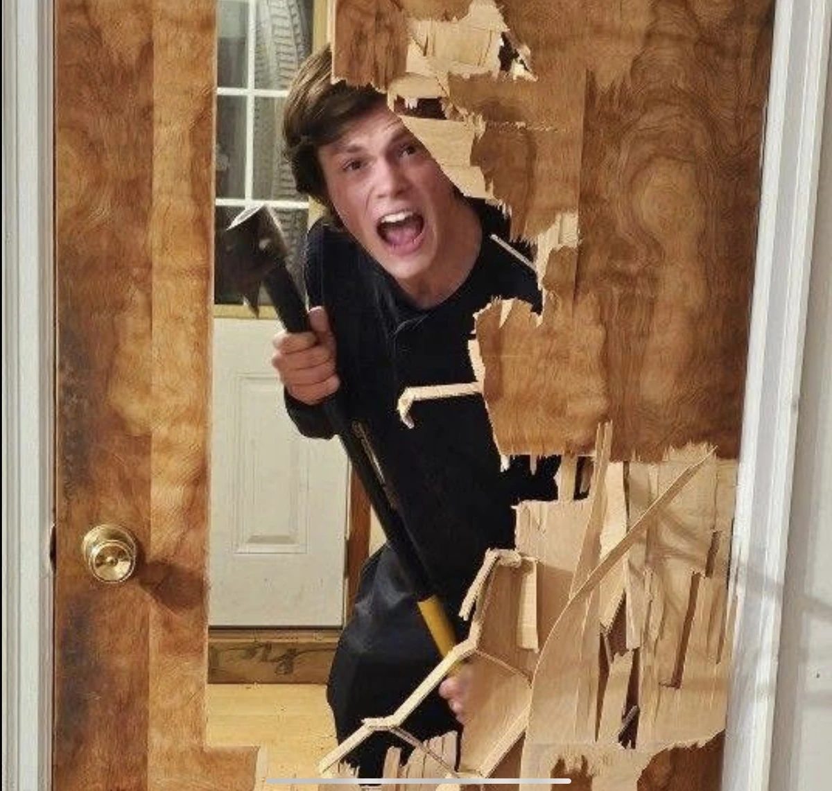 Violette1st Wikia | Fandom