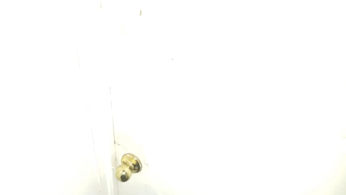 Category:Violette vs. Bill | Violette1st Wikia | Fandom