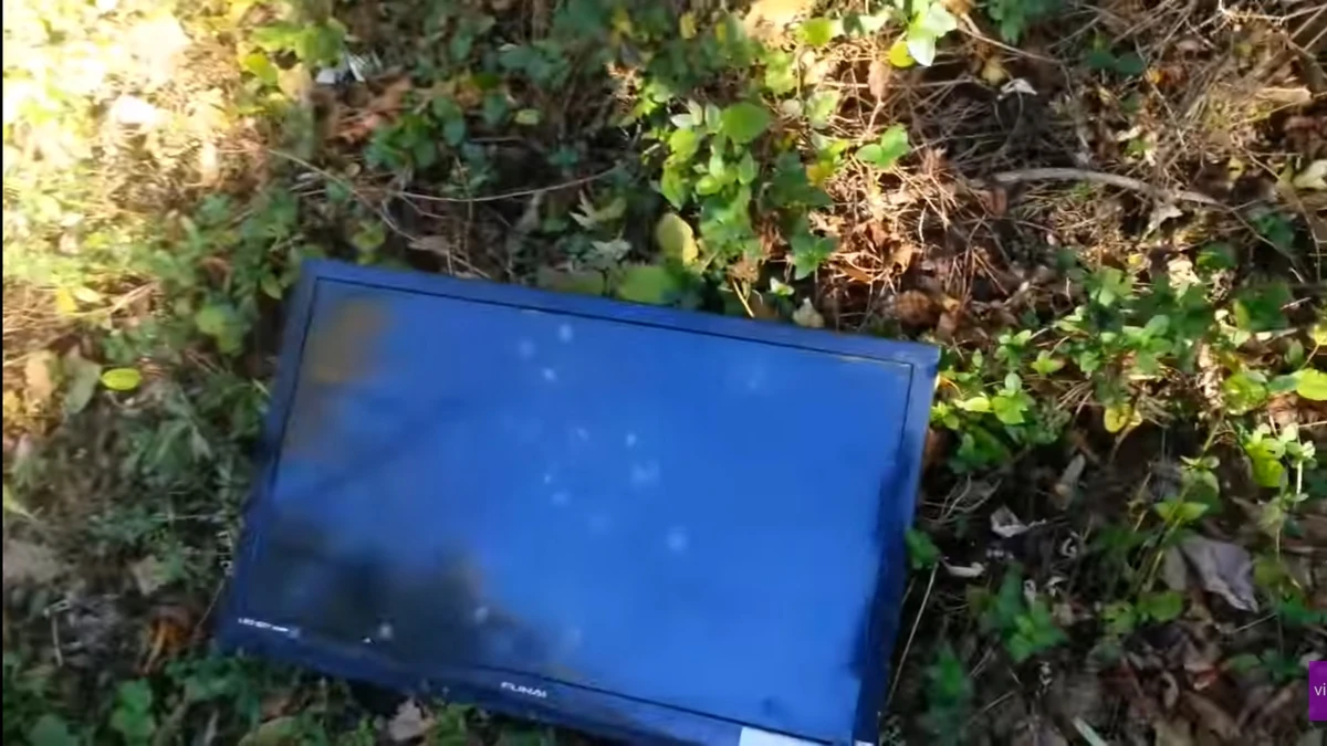 Category:Young William | Violette1st Wikia | Fandom