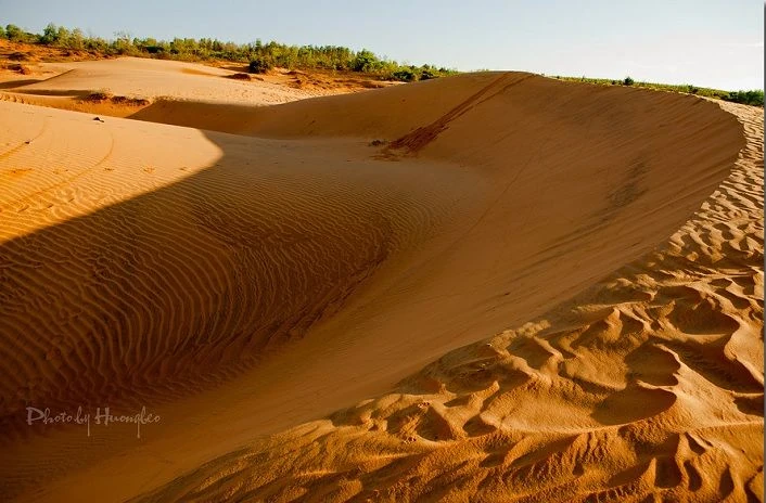 Sand Dunes of Mui Ne | ViPic Wiki | Fandom