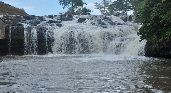 Dong Nai | ViPic Wiki | Fandom