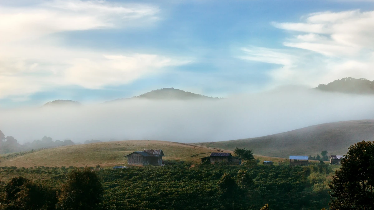 Tà Năng Phan Dũng | ViPic Wiki | Fandom