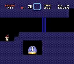 Super Malice World | VIP Mario Wikia | Fandom