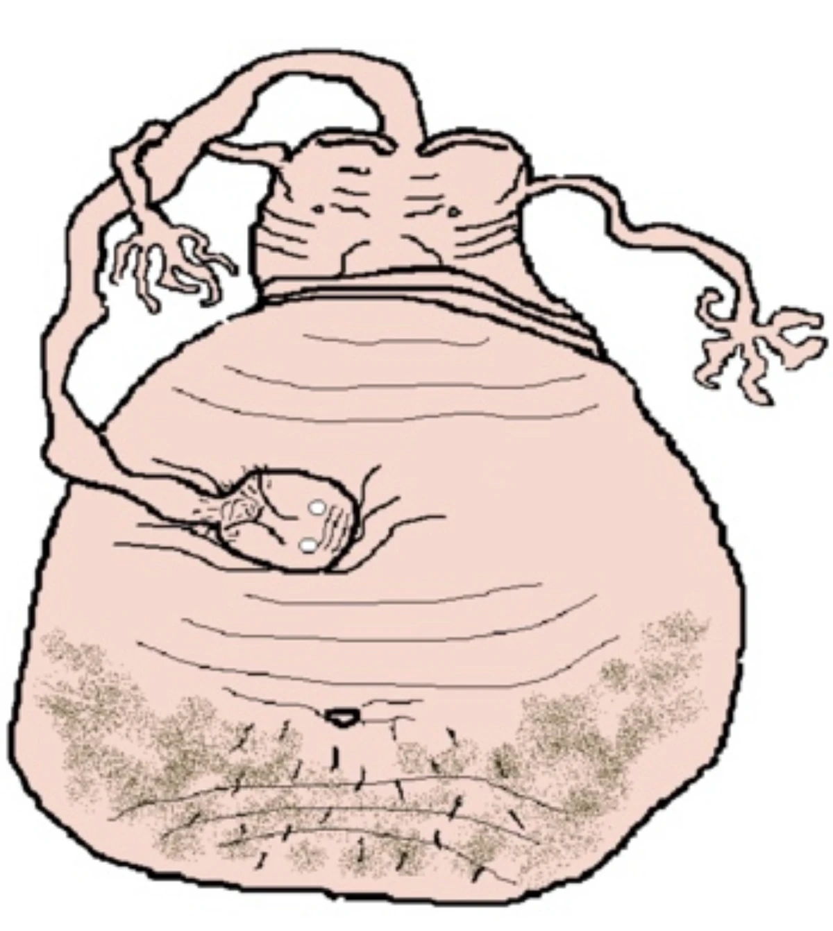 Grand Wizard | Virgin vs Chad Wiki | Fandom