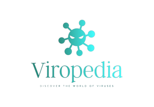 Nucleocytoviricota | Viropedia Wiki | Fandom