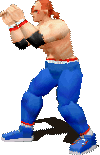 Wolf Hawkfield/Gallery | Virtua Fighter Wiki | Fandom