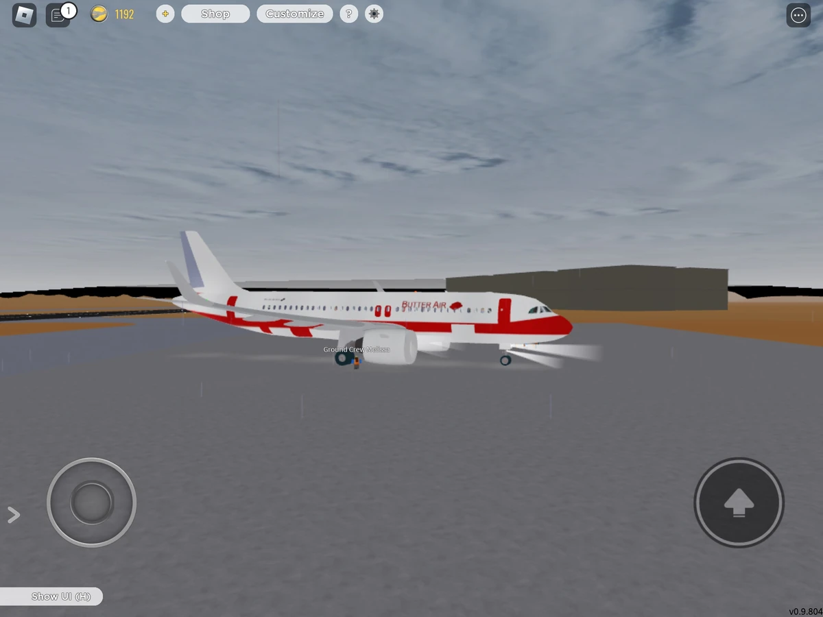 Butter Air flight 647 | Virtual Aviation Accidents Wiki | Fandom