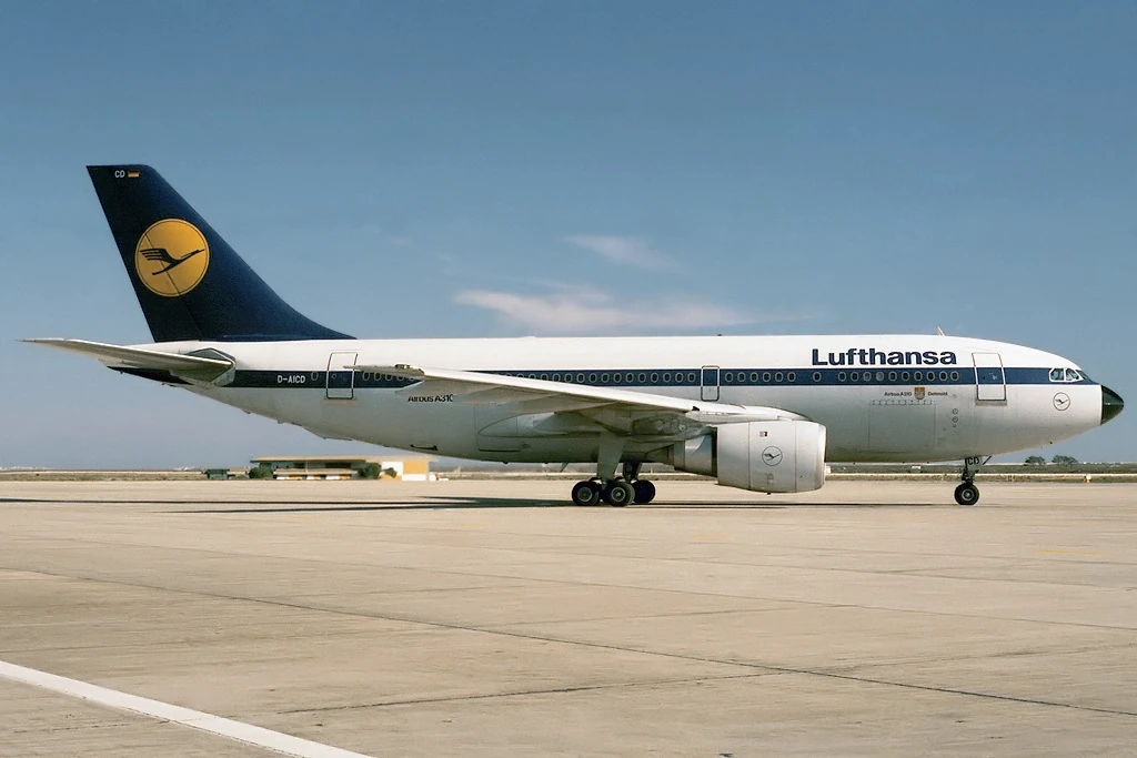 Blue Eagle Airways flight 273 | Virtual Aviation Accidents Wiki | Fandom