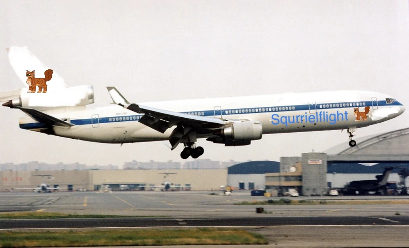 SquirrelFlight Airways flight 275 | Virtual Aviation Accidents Wiki ...