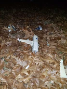 Blue Eagle Airways flight 312 | Virtual Aviation Accidents Wiki | Fandom