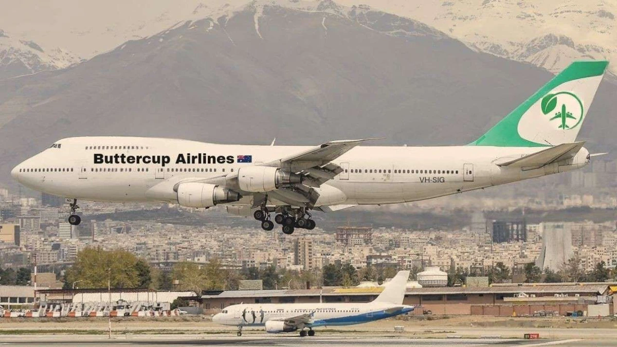 Buttercup Airlines flight 671 | Virtual Aviation Accidents Wiki | Fandom