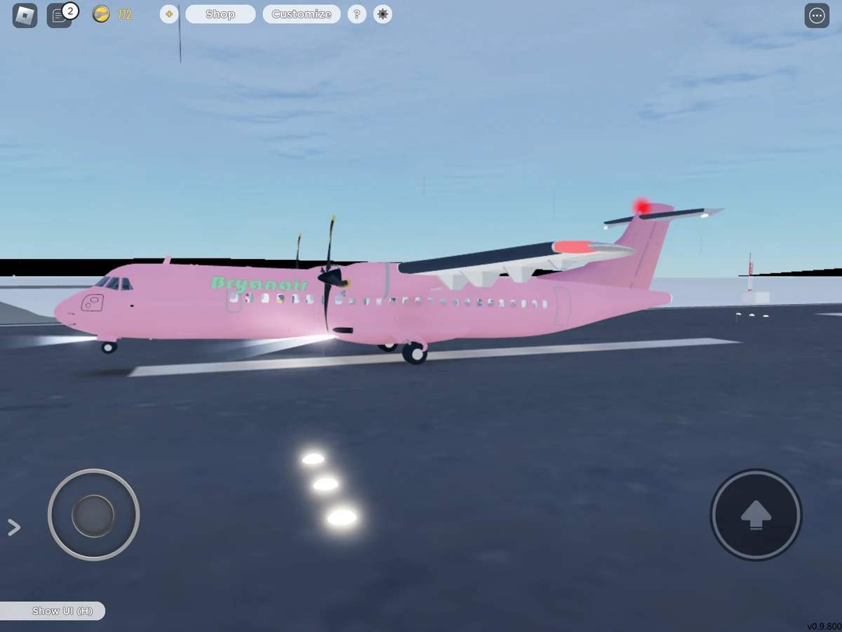 Bryanair flight 19 | Virtual Aviation Accidents Wiki | Fandom