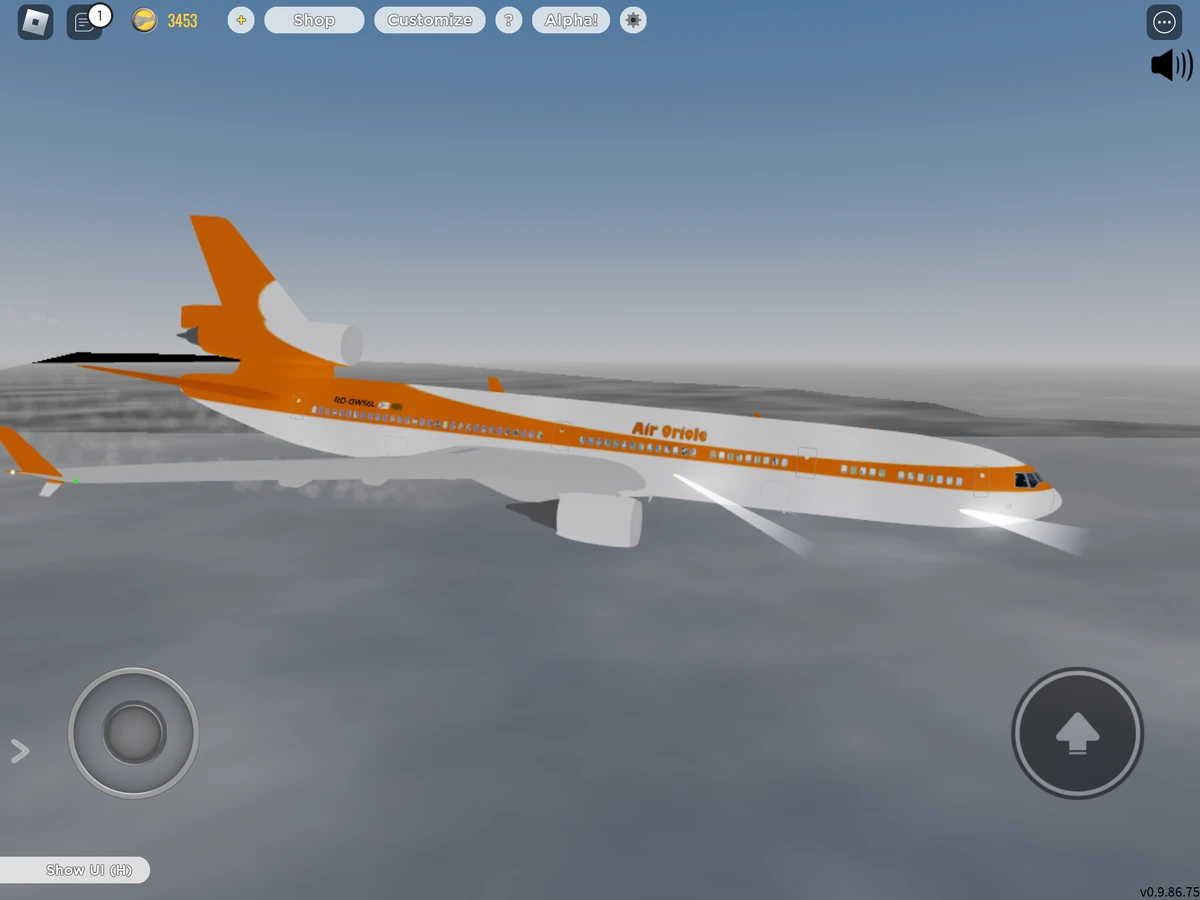 Air Oriole flight 80 | Virtual Aviation Accidents Wiki | Fandom