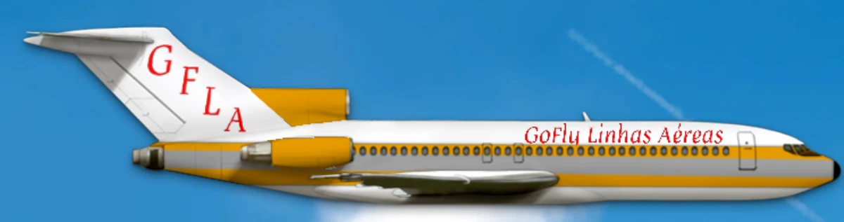 GoFLY Linhas Aéreas flight 238 | Virtual Aviation Accidents Wiki | Fandom