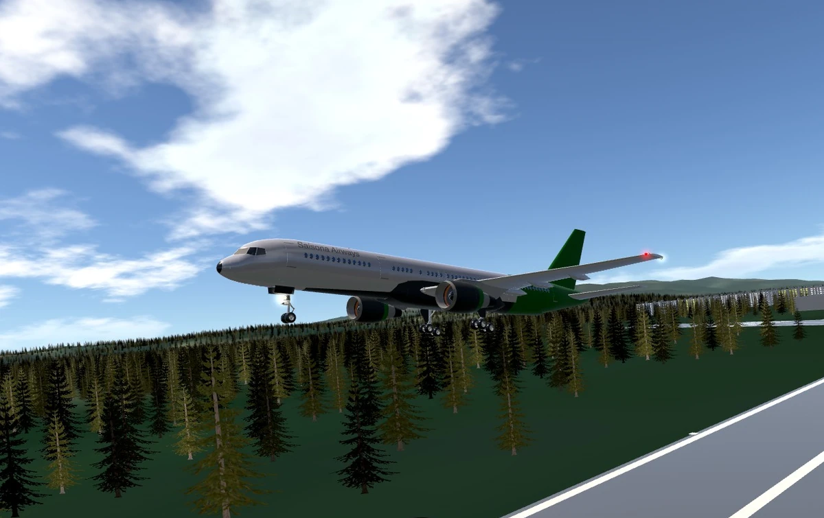 Saisona Airways flight 989 | Virtual Aviation Accidents Wiki | Fandom