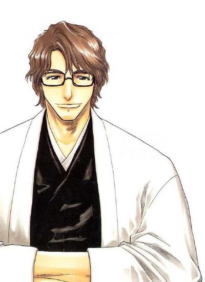 Sosuke Aizen | Virtual Arena Wiki | Fandom