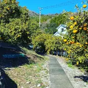 Anny | Virtual YouTuber Wiki | Fandom