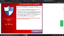 CryptoLocker | Viruses Information Wiki | Fandom