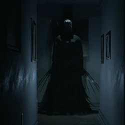Visage