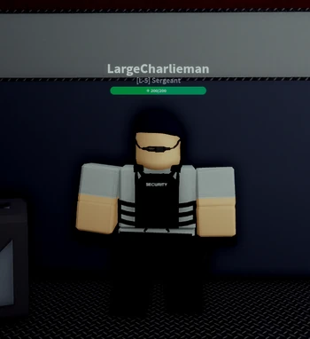 Security Department | Visceraled's SCP: Site Roleplay Wiki | Fandom