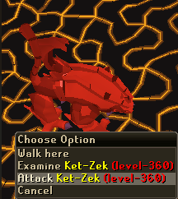 Fight Caves | Visionary Wiki | Fandom