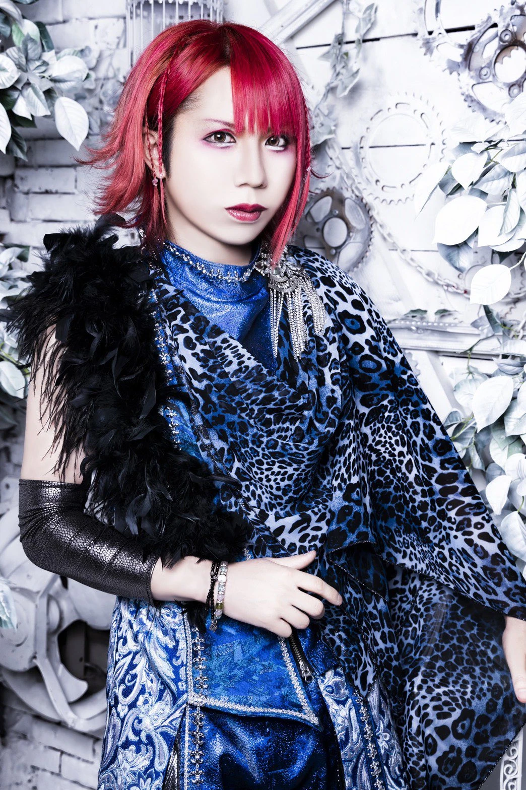 Omaru (CHIC BOY) | Wiki Visual Kei | Fandom