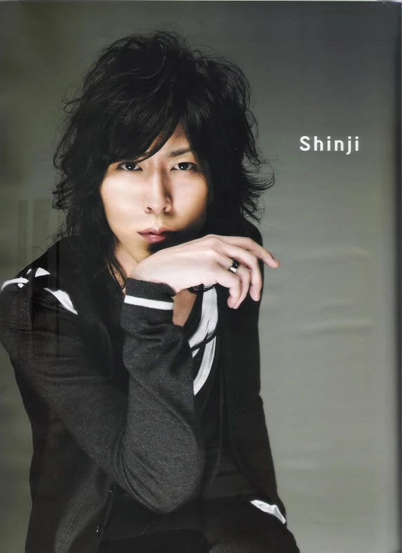 Shinji | Wiki Visual Kei | Fandom