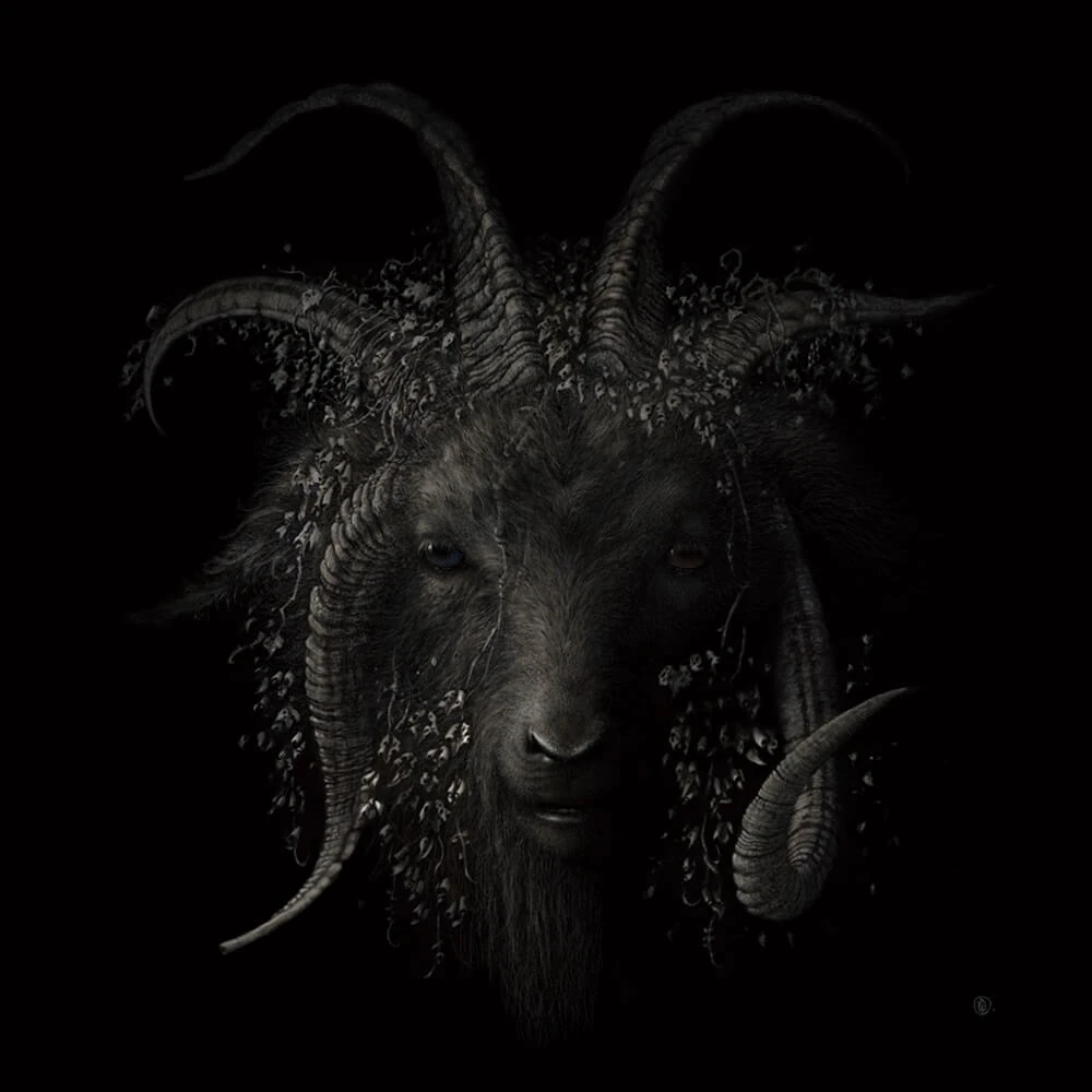 Lost in Forest | Wiki Visual Kei | Fandom