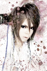 Natsuki (SHIVA) | Wiki Visual Kei | Fandom