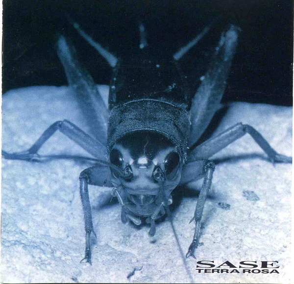 Sase | Wiki Visual Kei | Fandom