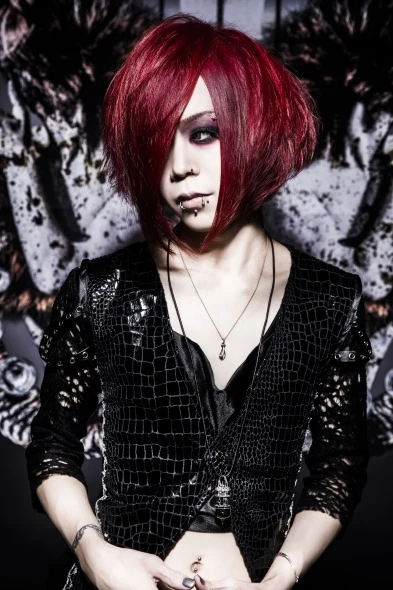 Ryuya (DIMLIM) | Wiki Visual Kei | Fandom