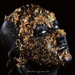 Shadowgraph | Wiki Visual Kei | Fandom