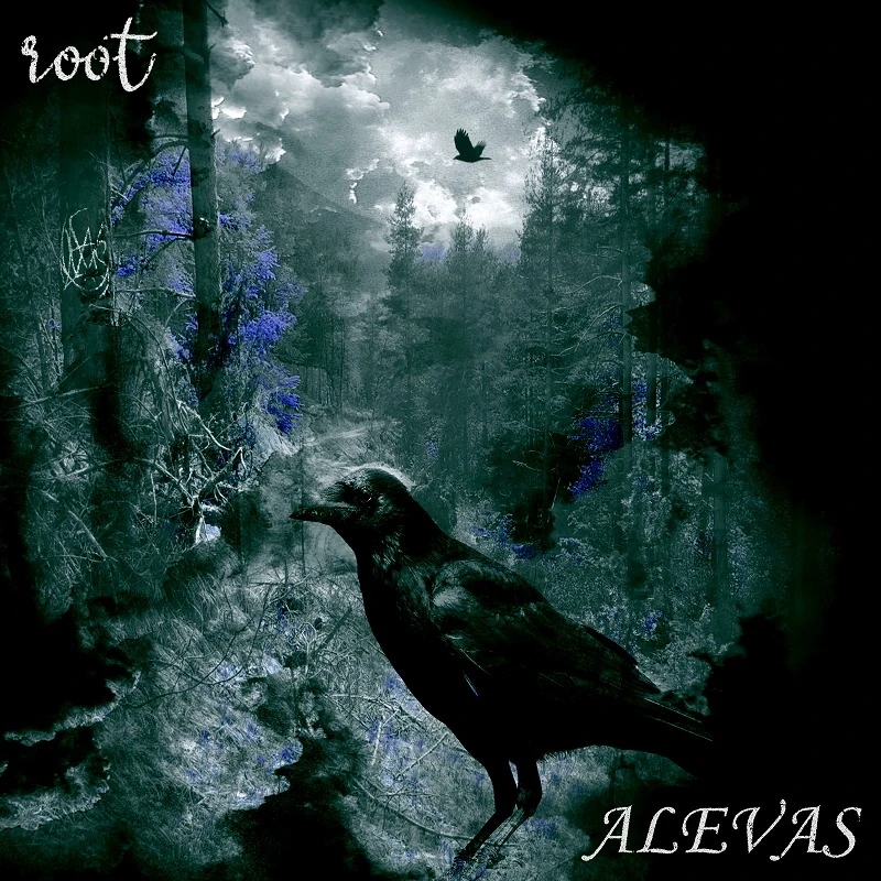 Root | Wiki Visual Kei | Fandom