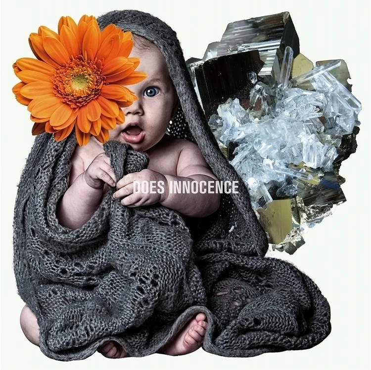 INNOCENCE | Wiki Visual Kei | Fandom