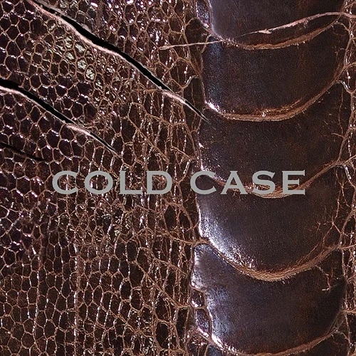 COLD CASE | Wiki Visual Kei | Fandom