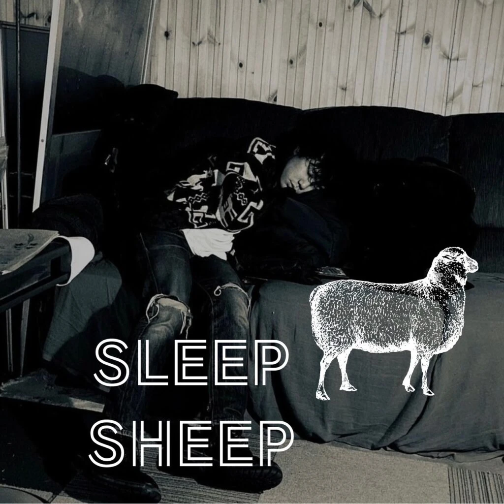 SLEEP SHEEP | Wiki Visual Kei | Fandom