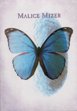 Shinwa -KAMI'S MEMORIAL BOX- | Visual Kei Encyclopaedia | Fandom