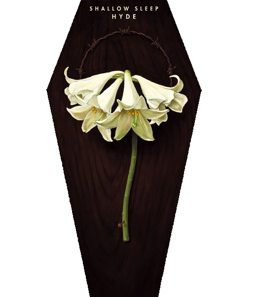 SHALLOW SLEEP | Wiki Visual Kei | Fandom
