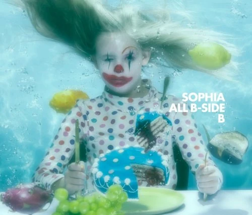 ALL B-SIDE ~B~ | Wiki Visual Kei | Fandom