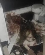 Dr. Farren Brones | Vita Carnis Wiki | Fandom