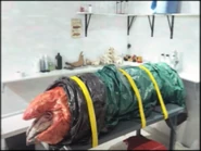 Revealed Progress | Vita Carnis Wiki | Fandom