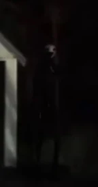 Trucidatum Carnis | Vita Carnis Wiki | Fandom