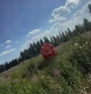 Congregentur Carnis | Vita Carnis Wiki | Fandom